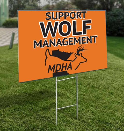 Support Wolf Management In Minnesota