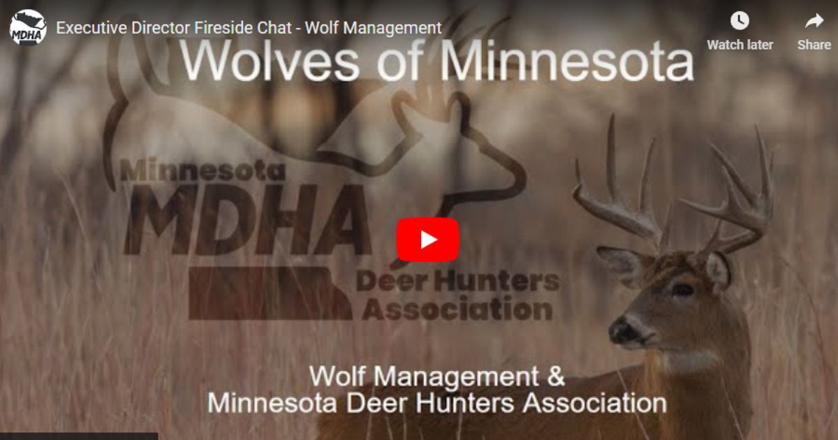 Wolf Management Misconceptions